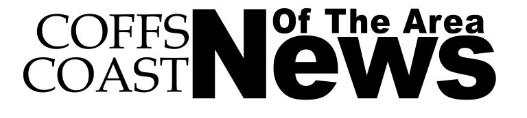 EXPLAINER - The Eastern Blue Groper: A NSW coastal icon - Coffs Coast ...
